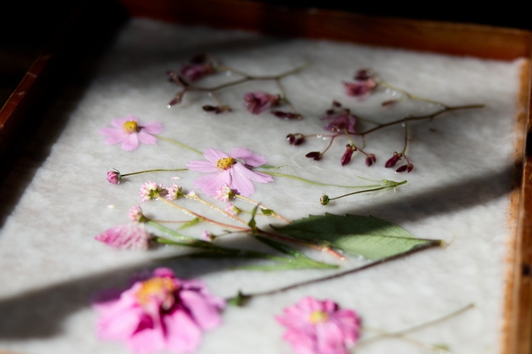 Washi Paper Making workshop | Discover Noto in Japan | NOTO DMC